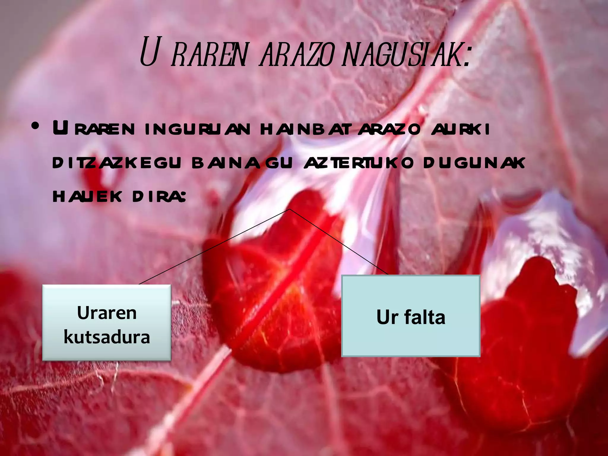 461_uraren_kutsadura_dena_jarraian.ppt