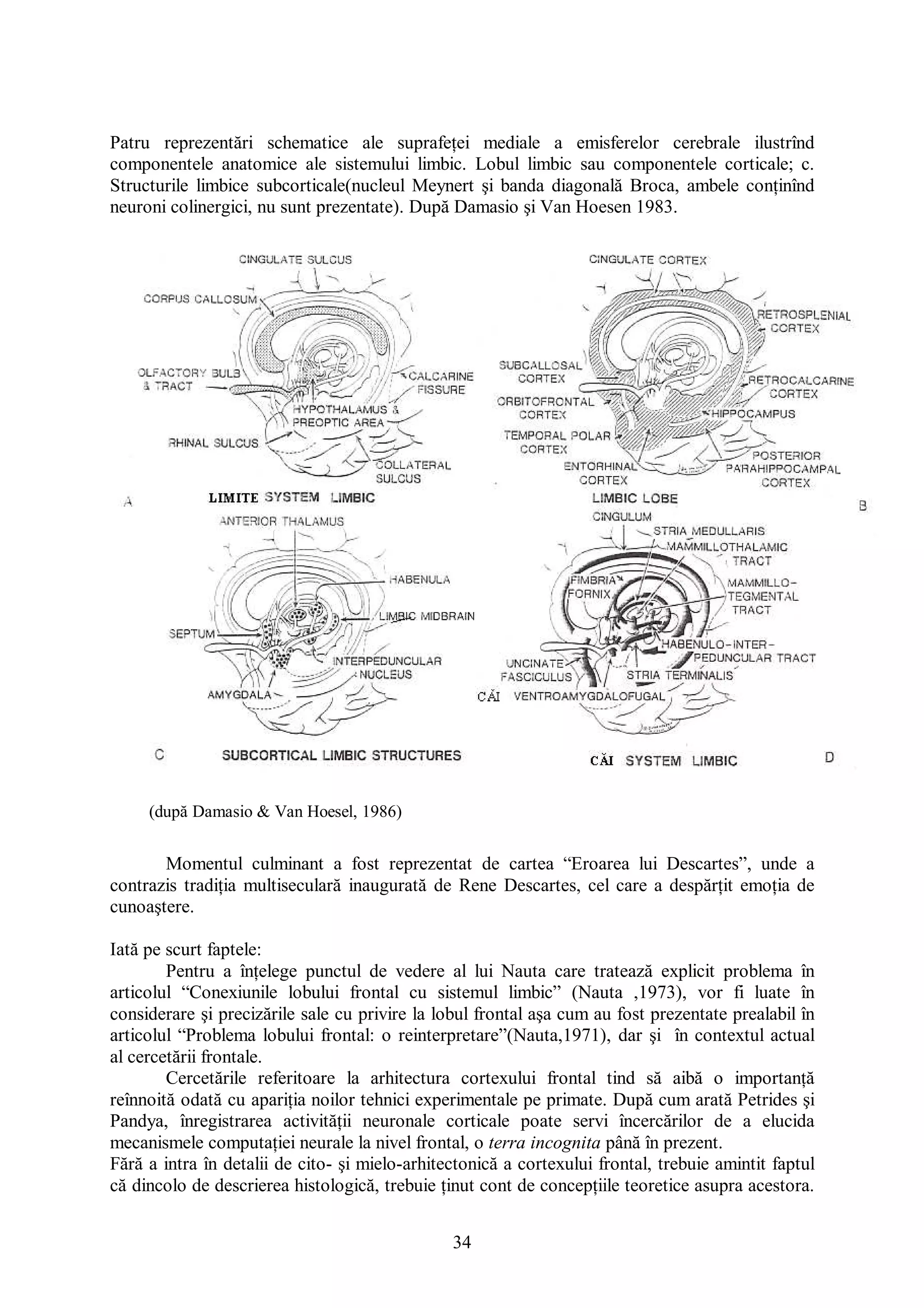 4627968 girusul-cingular-sau-totul-despre-creier | PDF