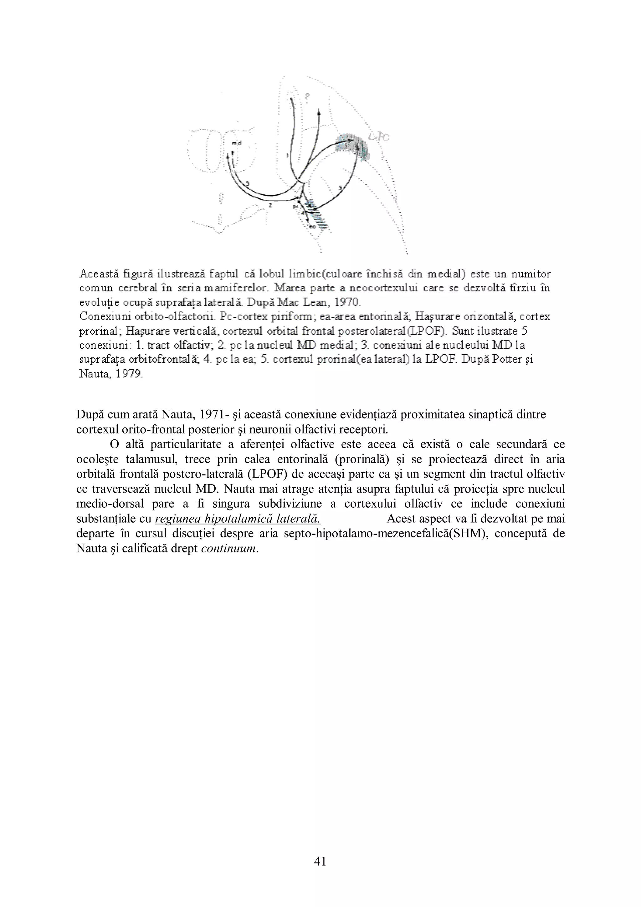 4627968 girusul-cingular-sau-totul-despre-creier | PDF