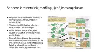 463257978-Biologija-Medžiagų-apykaita-ir-pernaša-2020-04-10-pdf.pdf
