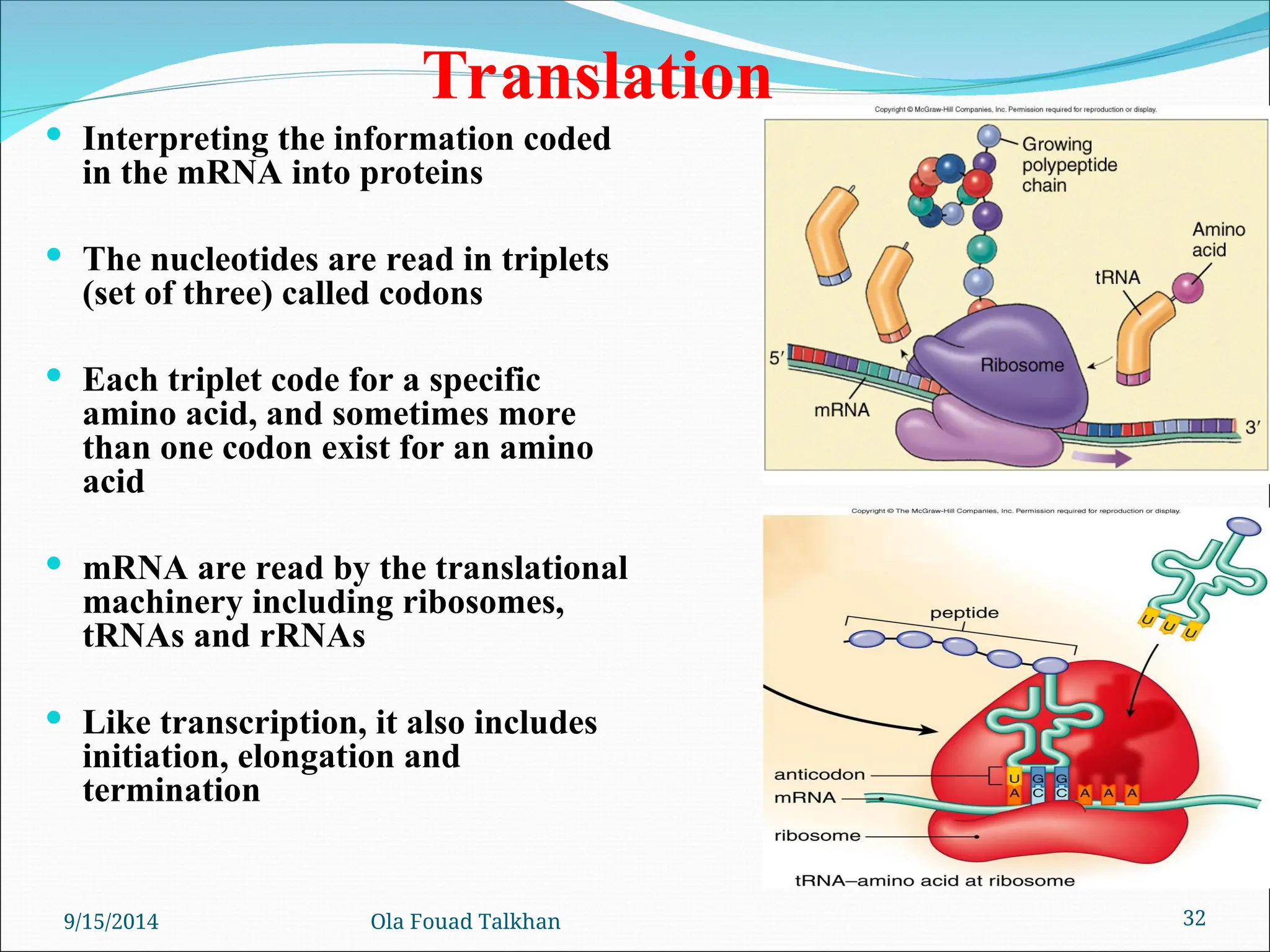 Nucleic acid, chemical composition and structure of nucleic acid.ppt