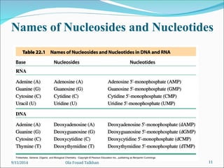 Nucleic acid, chemical composition and structure of nucleic acid.ppt
