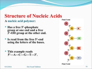 Nucleic acid, chemical composition and structure of nucleic acid.ppt
