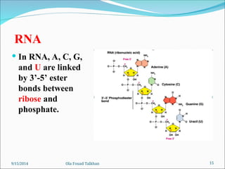 Nucleic acid, chemical composition and structure of nucleic acid.ppt