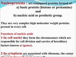 Nucleic acid, chemical composition and structure of nucleic acid.ppt