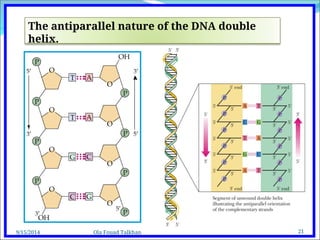 Nucleic acid, chemical composition and structure of nucleic acid.ppt