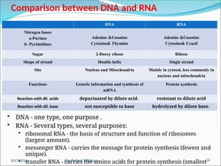Nucleic acid, chemical composition and structure of nucleic acid.ppt