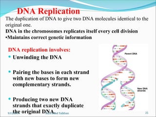 Nucleic acid, chemical composition and structure of nucleic acid.ppt
