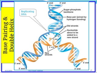 Nucleic acid, chemical composition and structure of nucleic acid.ppt