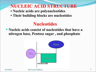 Nucleic acid, chemical composition and structure of nucleic acid.ppt