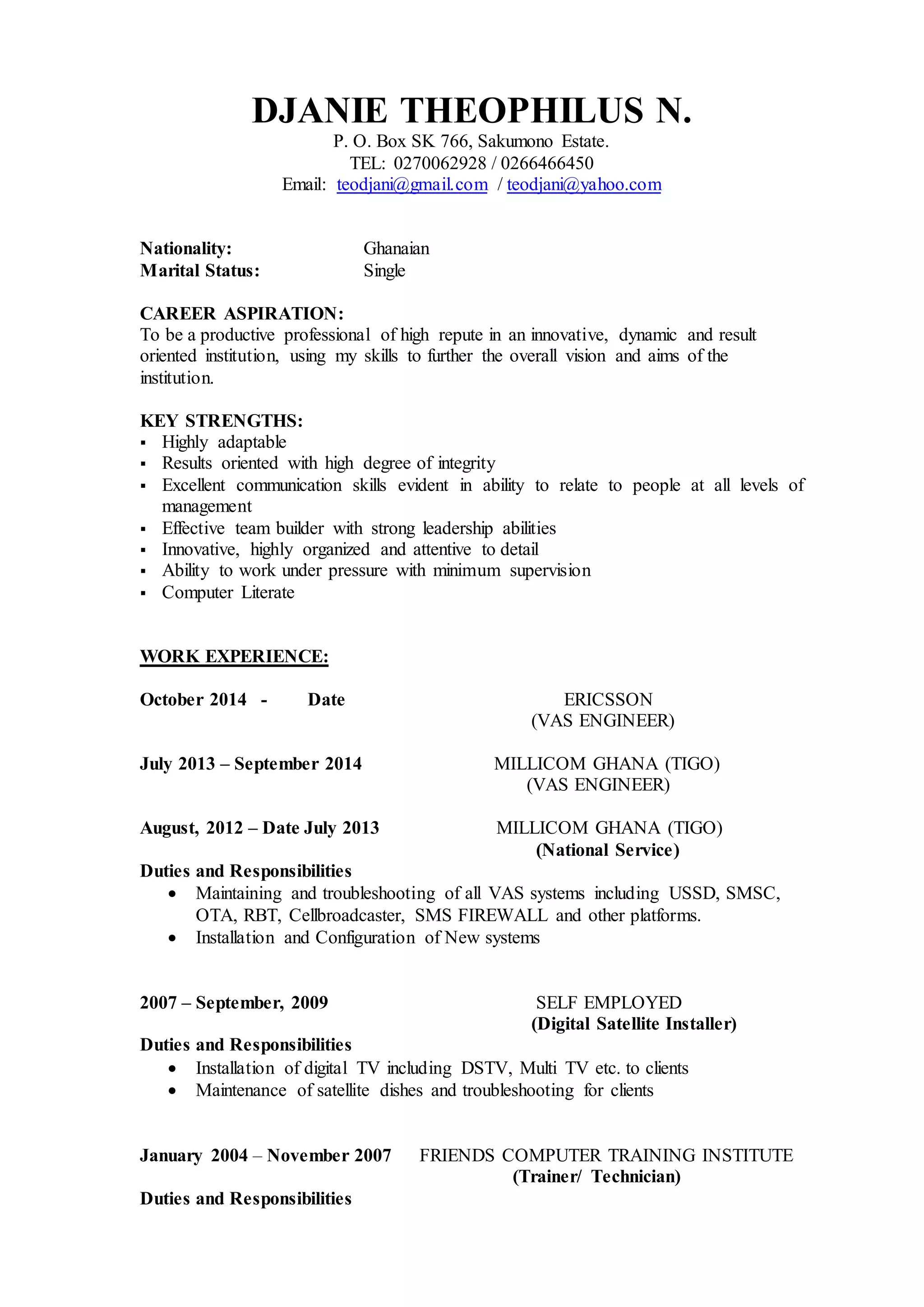 Curriculum Vitae_Theo | PDF
