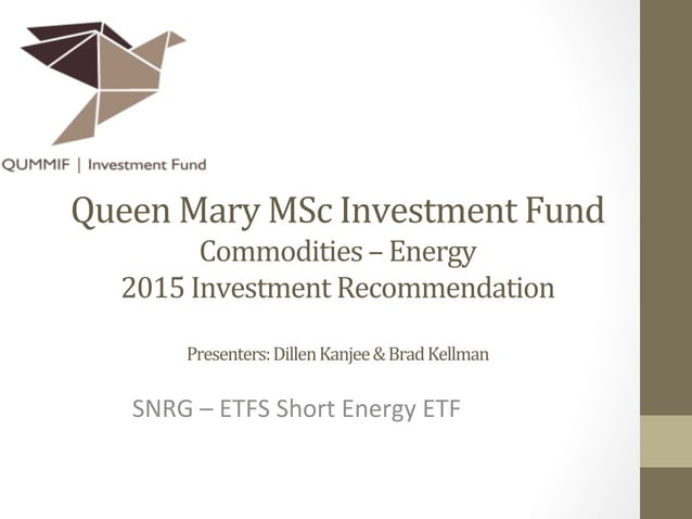 SNRG Presentation Pitch_Final | PDF