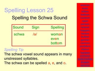 schwa | PPT