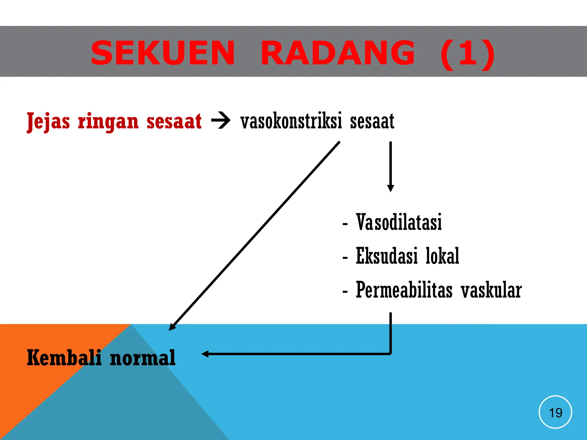 Konsep Inflamasi pada pasien, inflamasi adalah proses peradangan | PPT