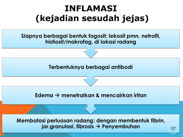 Konsep Inflamasi pada pasien, inflamasi adalah proses peradangan | PPT