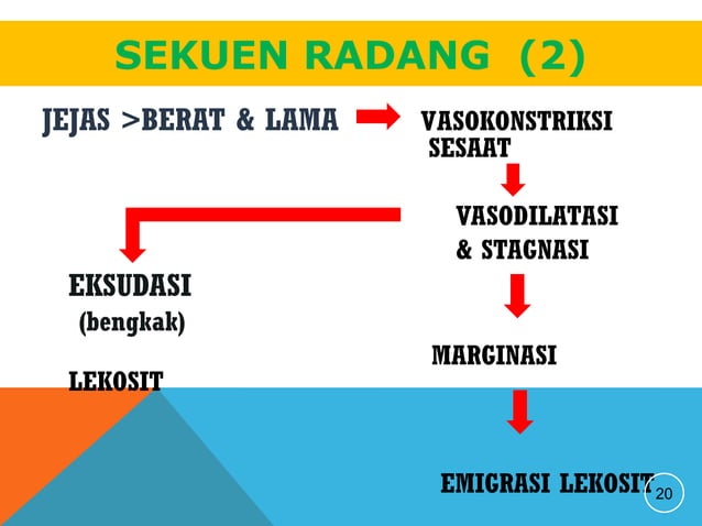 Konsep Inflamasi pada pasien, inflamasi adalah proses peradangan | PPT