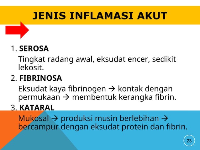 Konsep Inflamasi pada pasien, inflamasi adalah proses peradangan | PPT