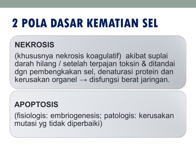 Konsep Inflamasi pada pasien, inflamasi adalah proses peradangan | PPT