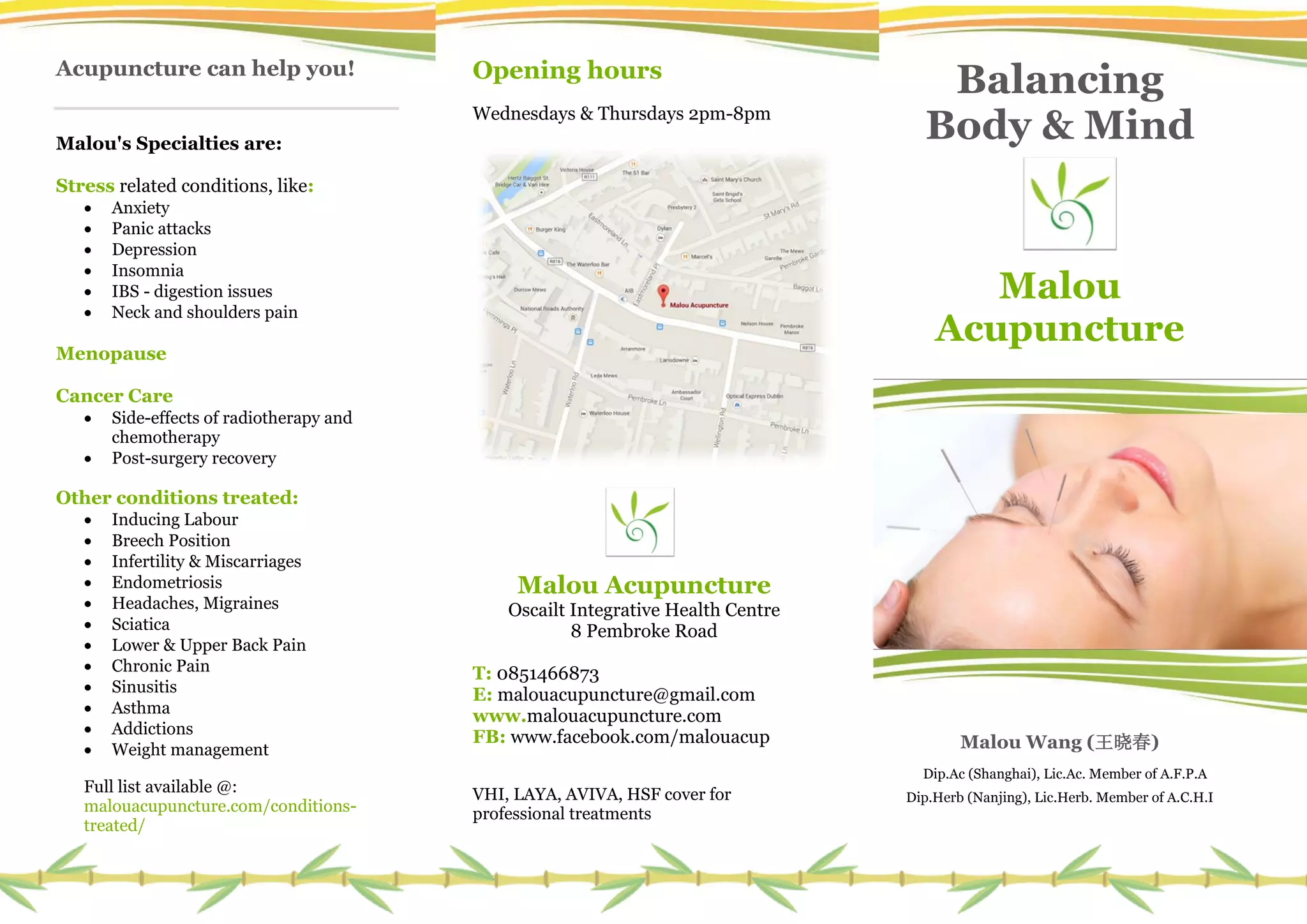 Malou Acupuncture Brochure | PDF | Physical Therapy | Wellness