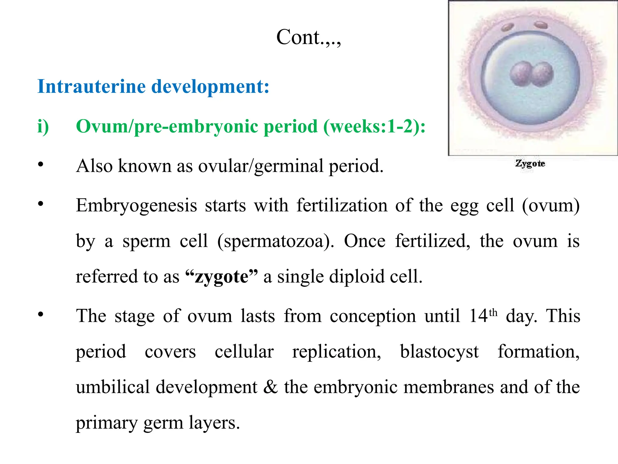 466416256-Stages-of-fetal-development-Final-PPT.pptx