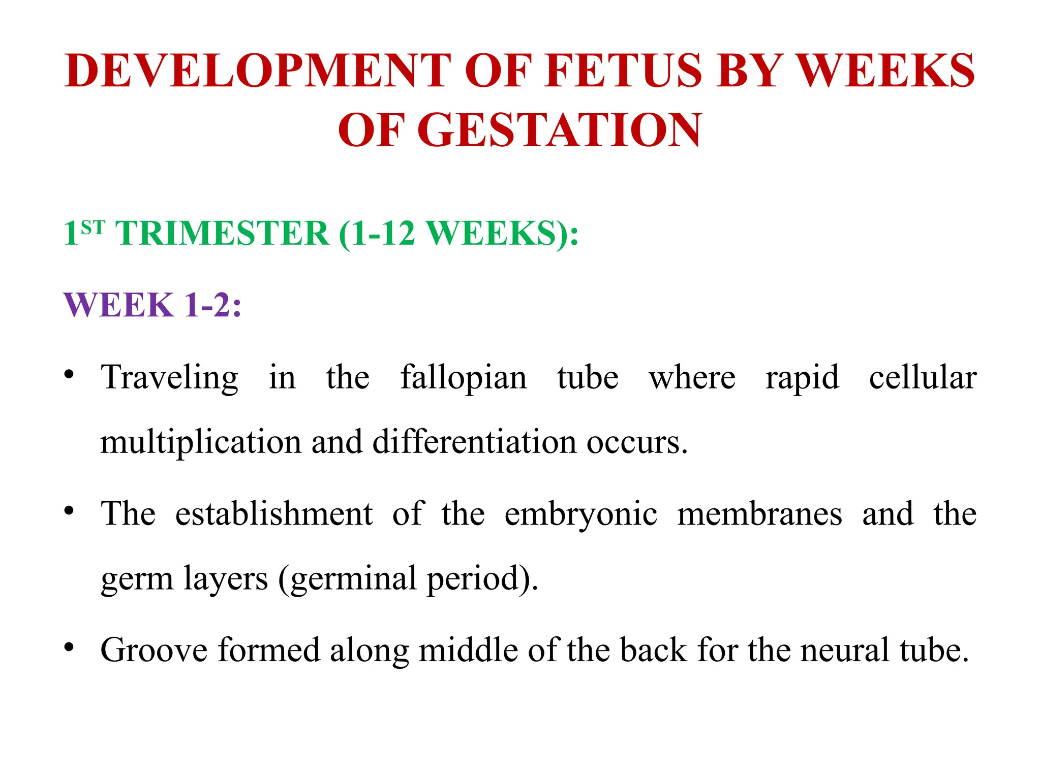 466416256-Stages-of-fetal-development-Final-PPT.pptx