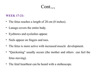 466416256-Stages-of-fetal-development-Final-PPT.pptx