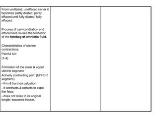 Stages of labor 4th year Bsc nursing ppt | PPTX