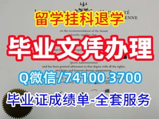 UNSW Degree certificate | PPT