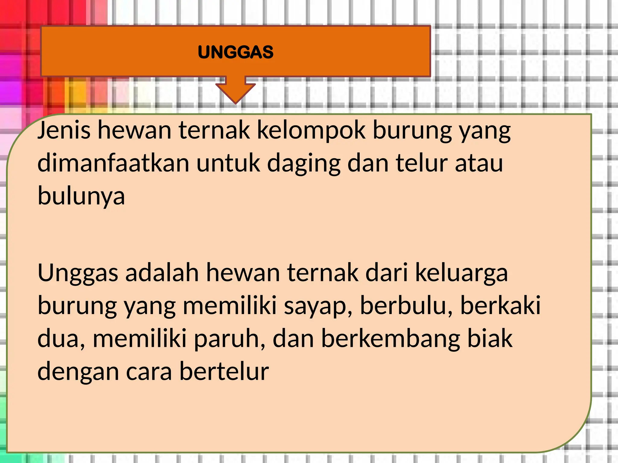 468547809-Powerpoint-Unggas-Dan-Hasil-Olahannya.pptx