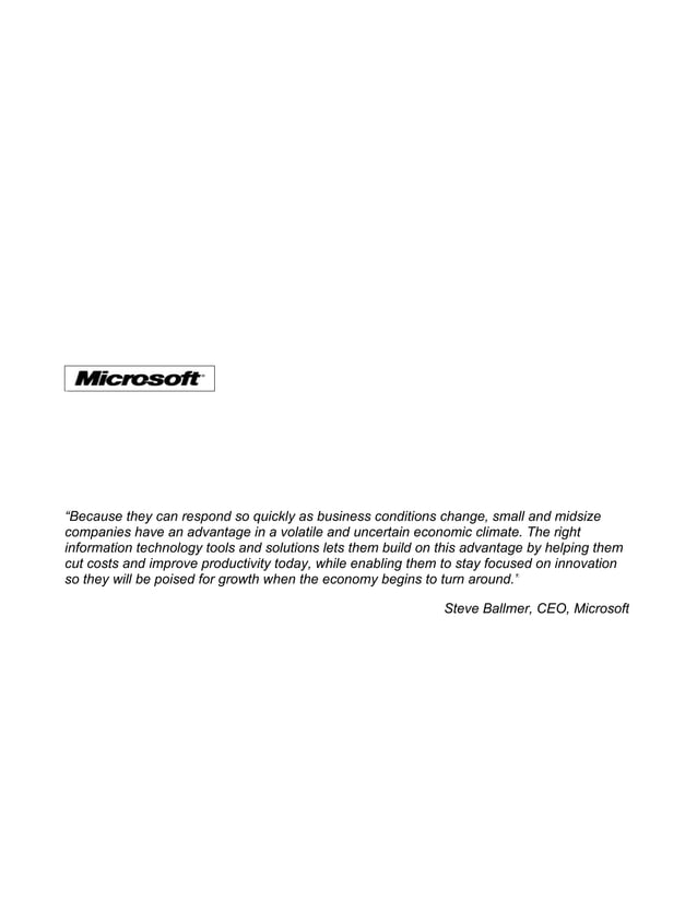 Microsoft2009SMBInsightsReport (1) | PDF
