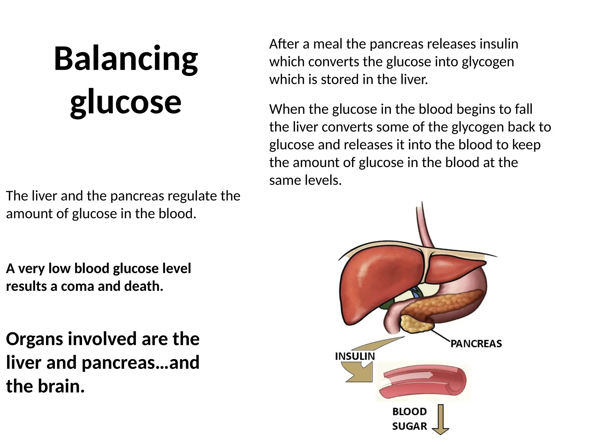 Homeostasis and related biological functions | PPT