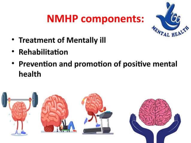 469236748-National-Mental-Health-Programme.pdf