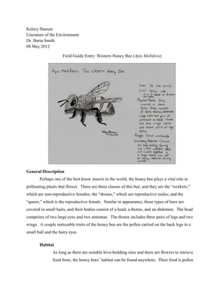 HansenK_PrimaLinguaProject | PDF