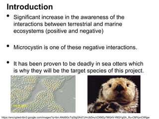 Final Draft - Noah Craney and Nubia Cervantes | PPT