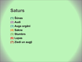 Augu šūnas, audi, orgāni | PPT