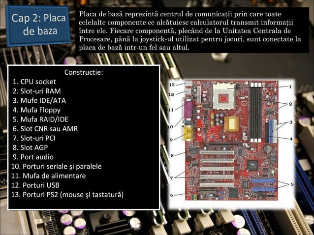 Berariu Andrei Ionut Atestat | PPT