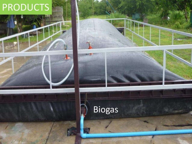 GeniusBiotec (Anaerobic Digester) | PPT