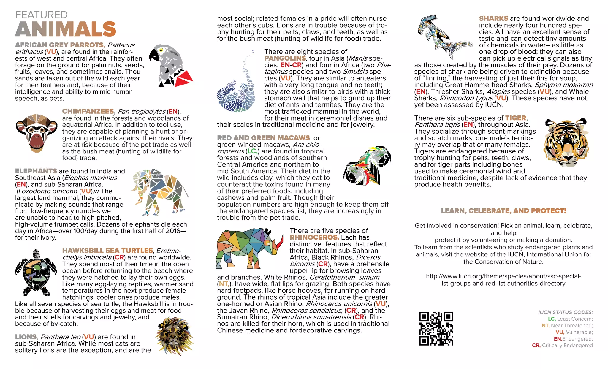 Wildlife_Brochure | PPT