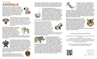 Wildlife_Brochure | PPT