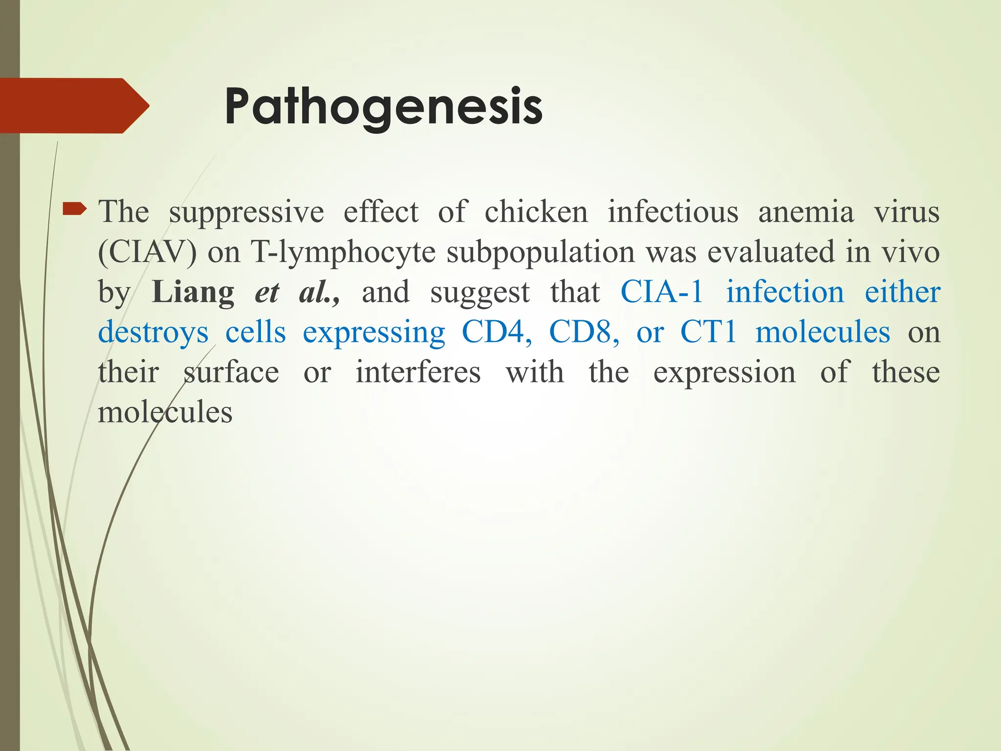 Chicken Inf Anemia 2025 updated pics.ppt