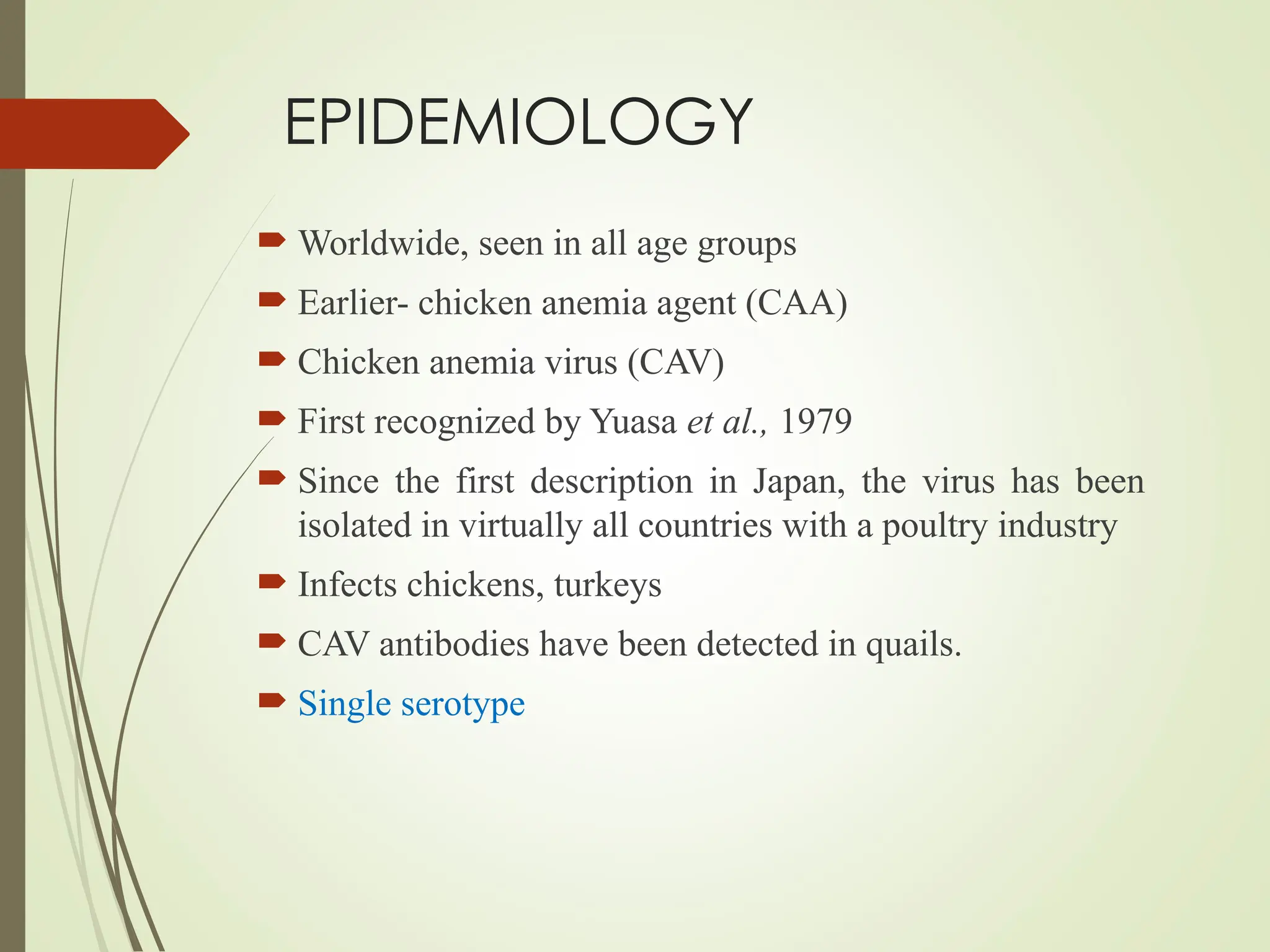Chicken Inf Anemia 2025 updated pics.ppt