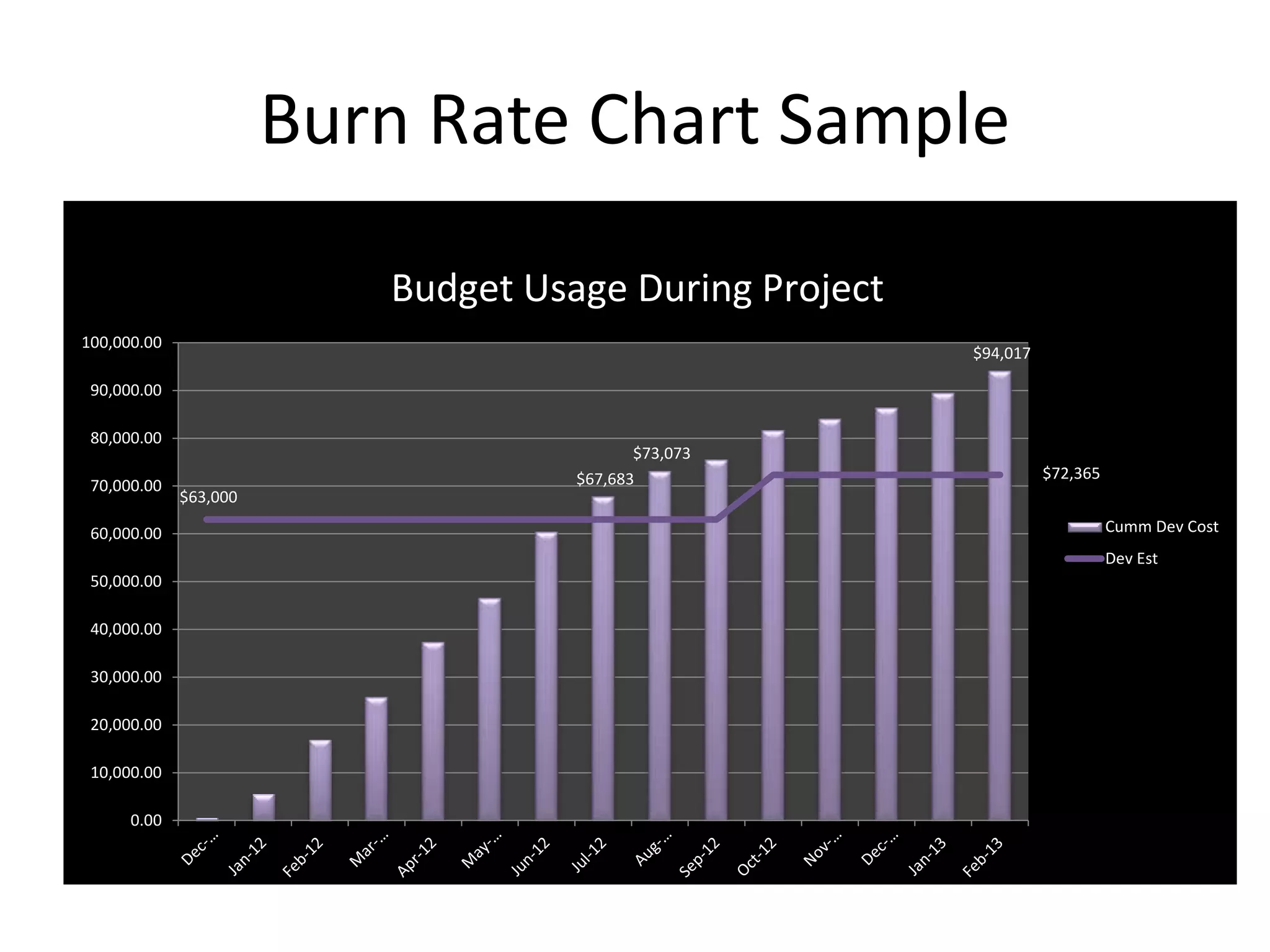 Burn Rate Chart Sample | PPT