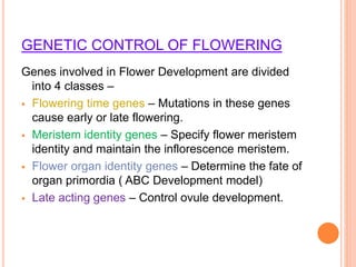Flower Development | PPTX
