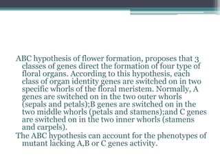 Flower Development | PPTX