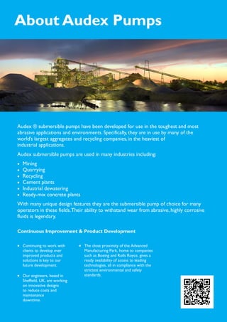 Audex Brochure | PDF