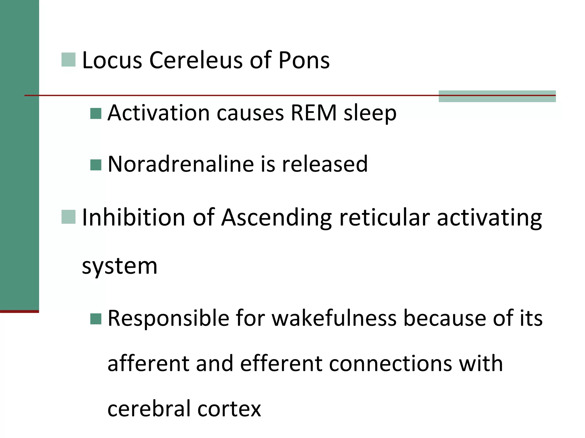 Sleep | PPTX