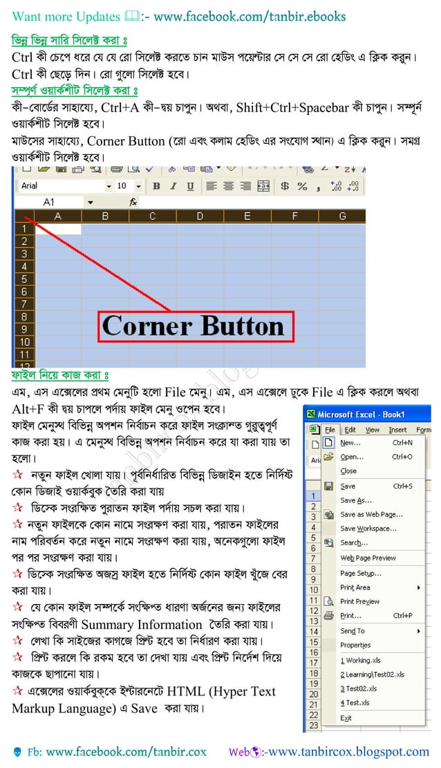 MS Excel bengali complete tutorial with image | PDF