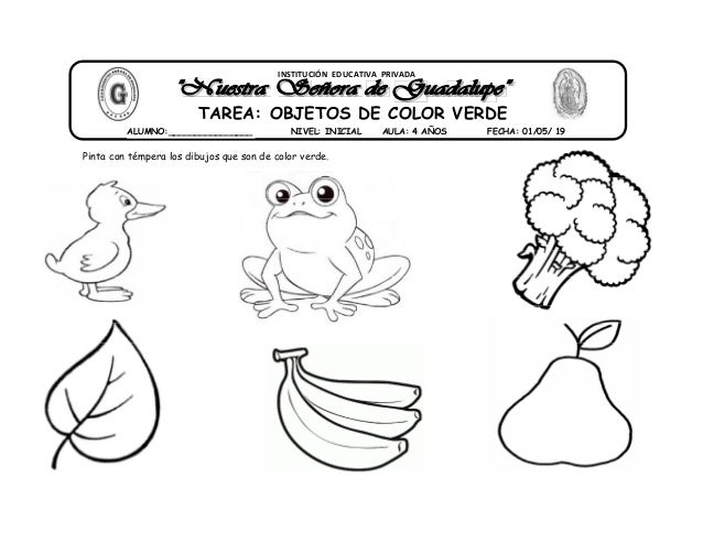 46 tarea objetos verdes