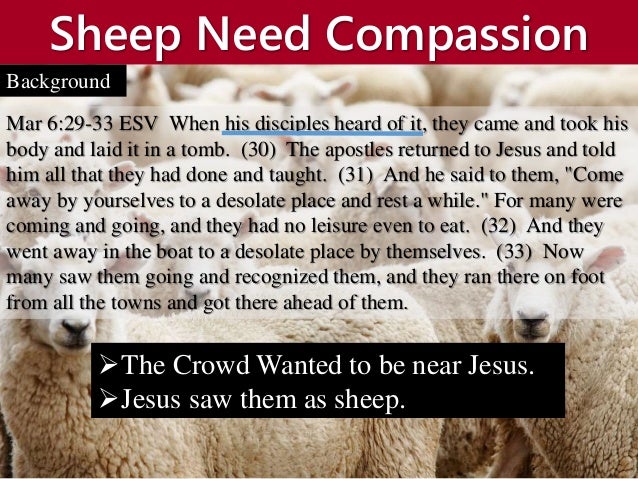 M2014 s55 like sheep without a shepherd 7 27-14 sermon
