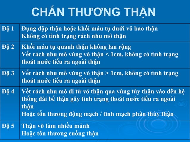 CHẤN THƯƠNG VÀ VẾT THƯƠNG THẬN | PDF